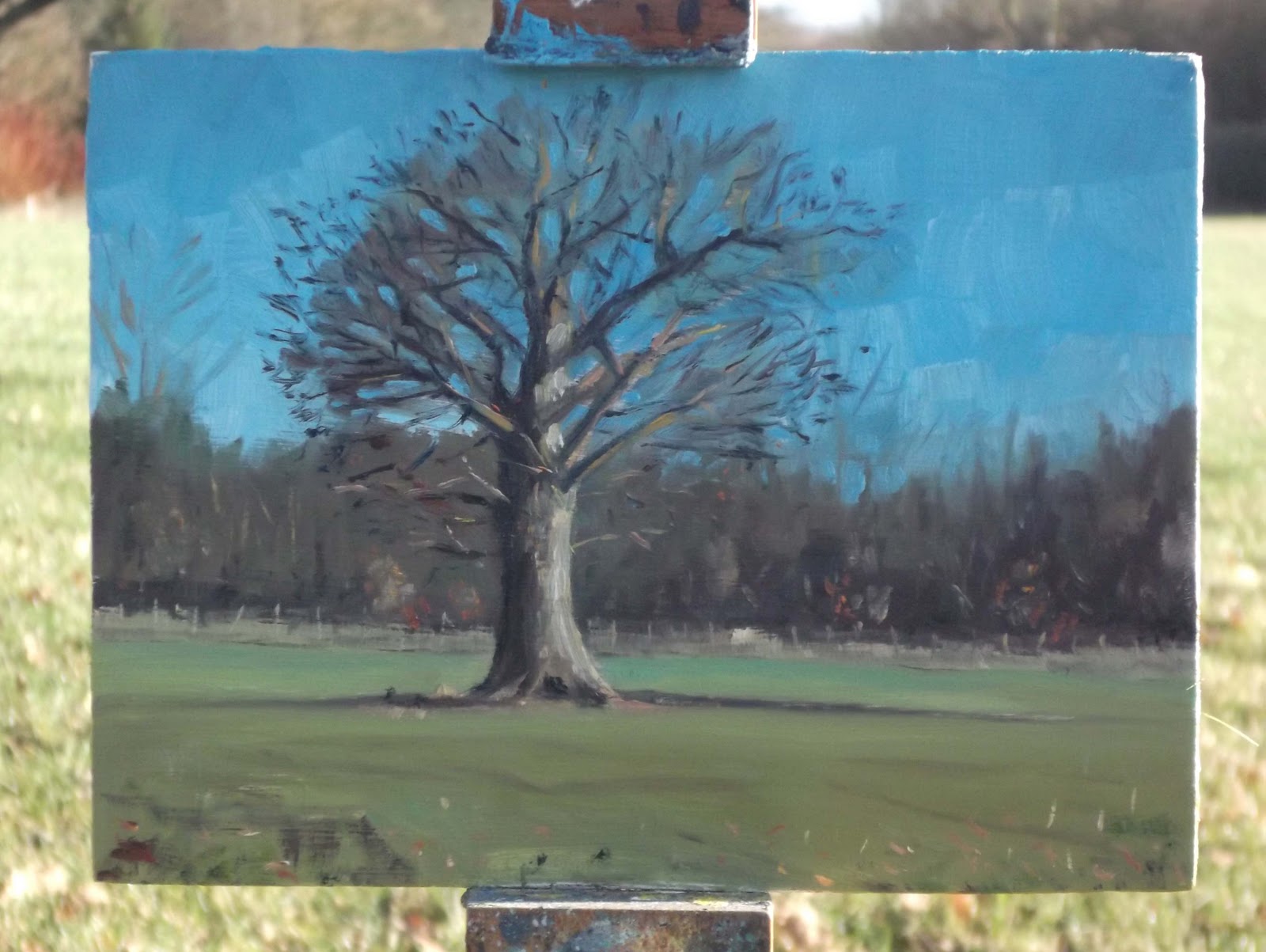 Thomas Haskett Illustration: Kent Oak Trees (Plein Air)