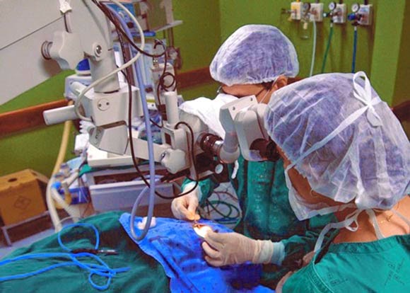 Edoméx en línea: Ofrecen operaciones gratuitas de trasplantes de córneas