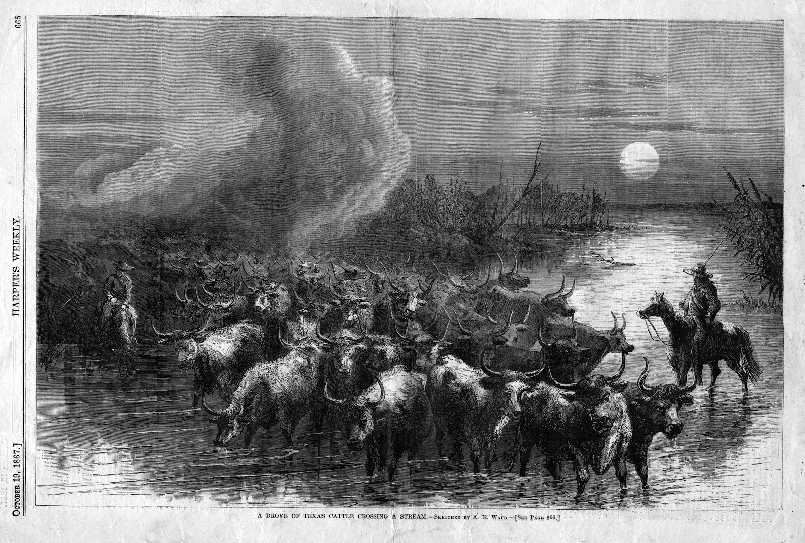 The Fort Worth Gazette: Texas Cattle Drives BEFORE The Chisholm Trail