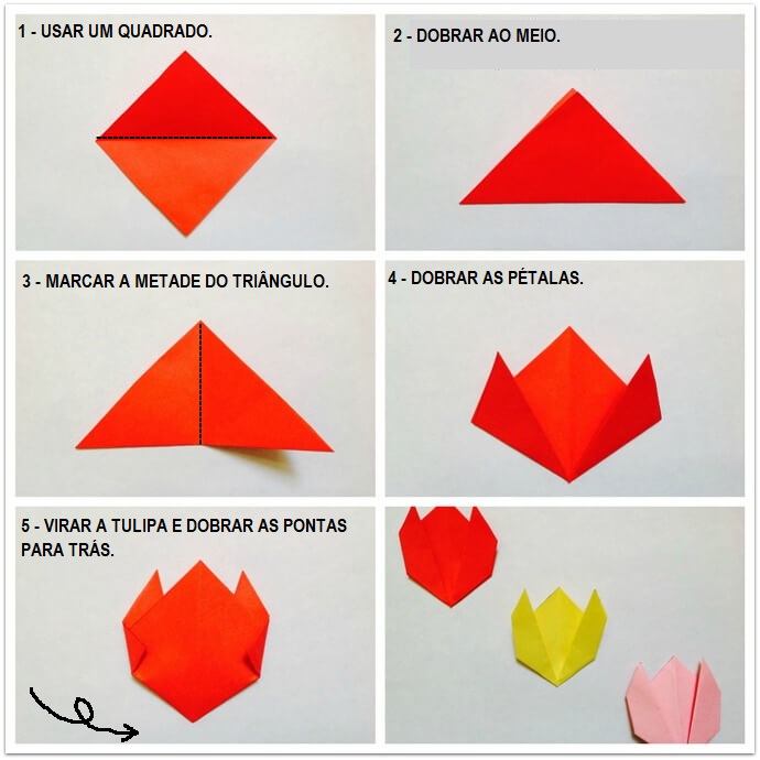 Baú das Dobraduras: Origami 6: Tulipa (flor)