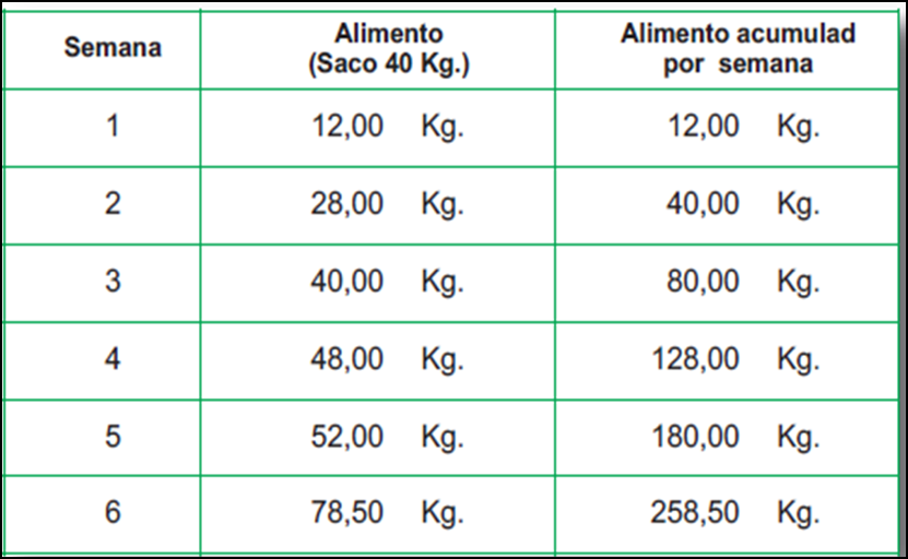 Desarrollo y Crecimiento : Desarrollo y Crecimiento de los pollos