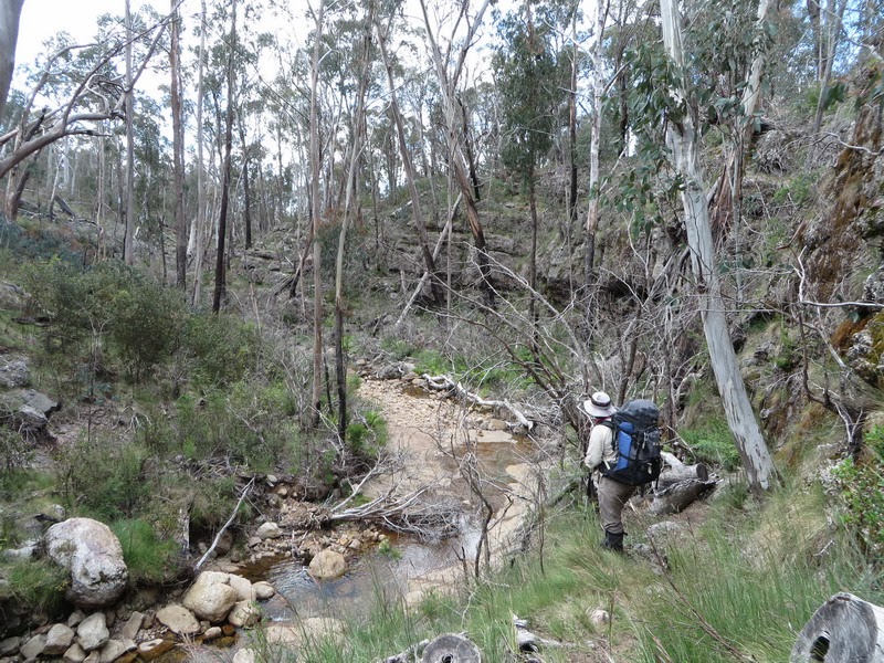 Dzung Nguyen's Blog: Mt Cobbler Walk