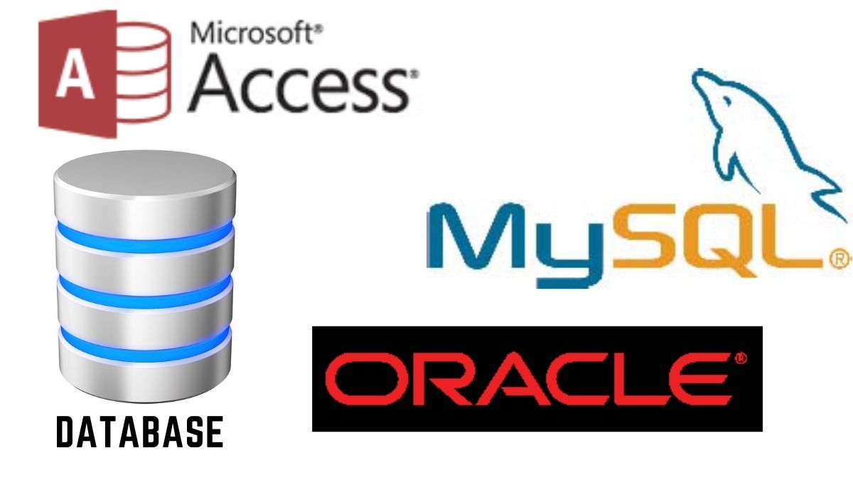 MS-Access Database Management System Class 10 Computer Science