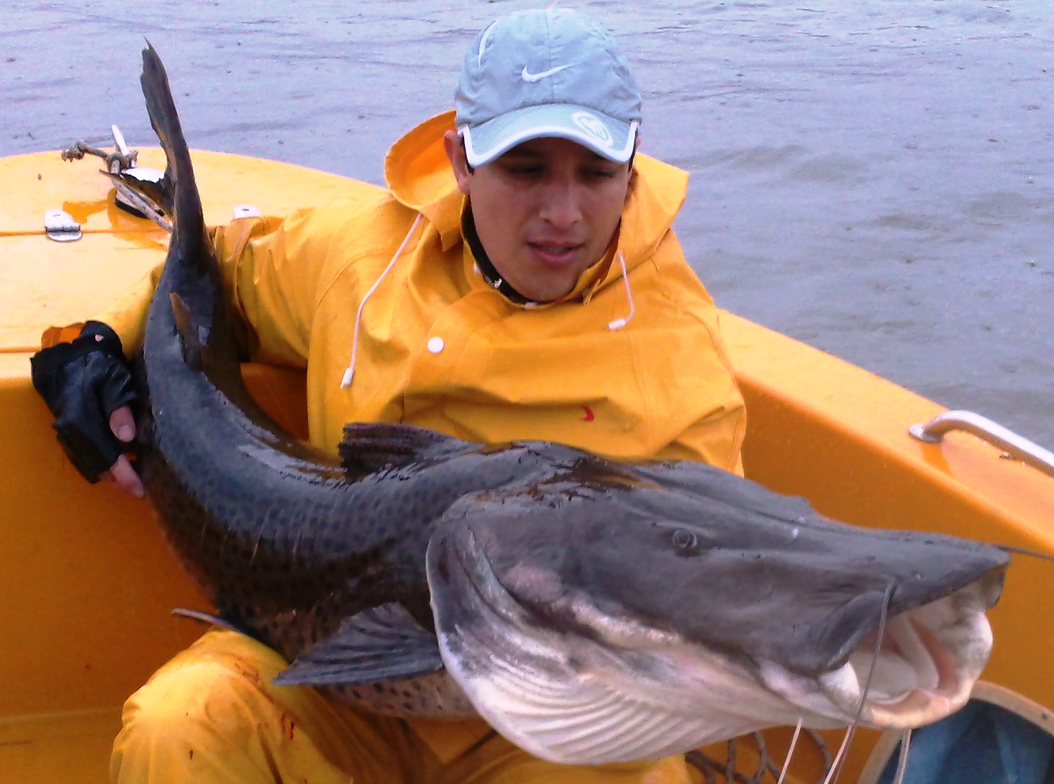 Area de Pesca: Características y técnica de la pesca en Punta Ñaro ...