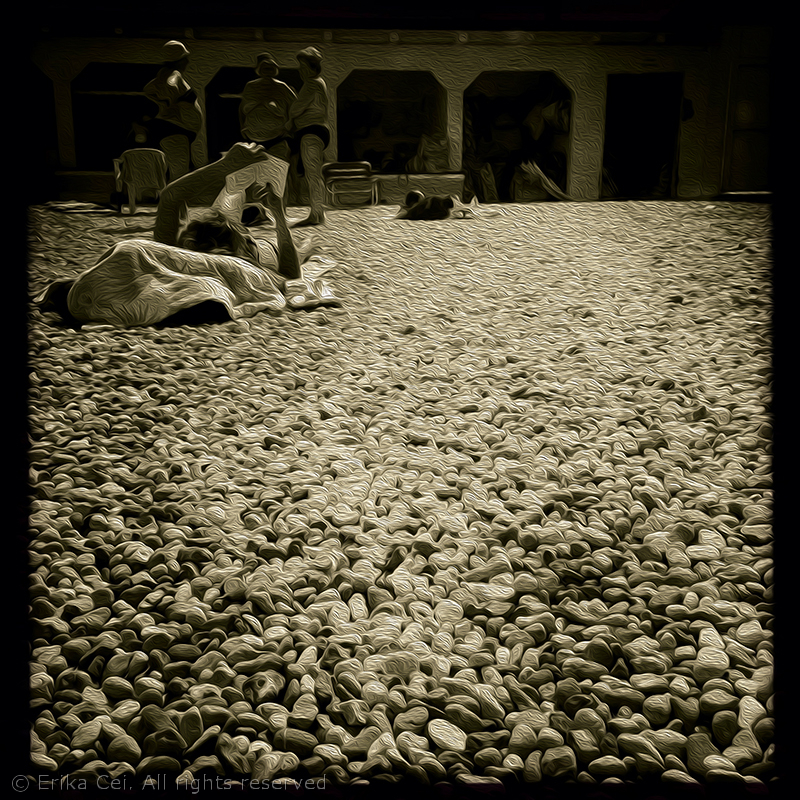 "El Pedocin", a separate beach for women and men - Photofrasando