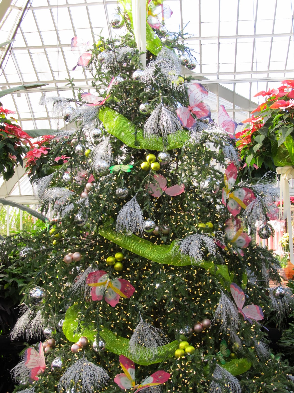 Rock-Oak-Deer: Phipps Conservatory Part 1