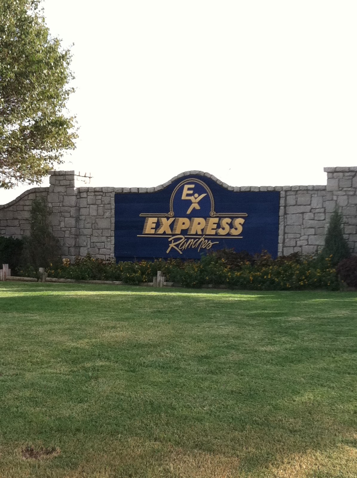 DIAMOND G CATTLE CO.: Express Ranches