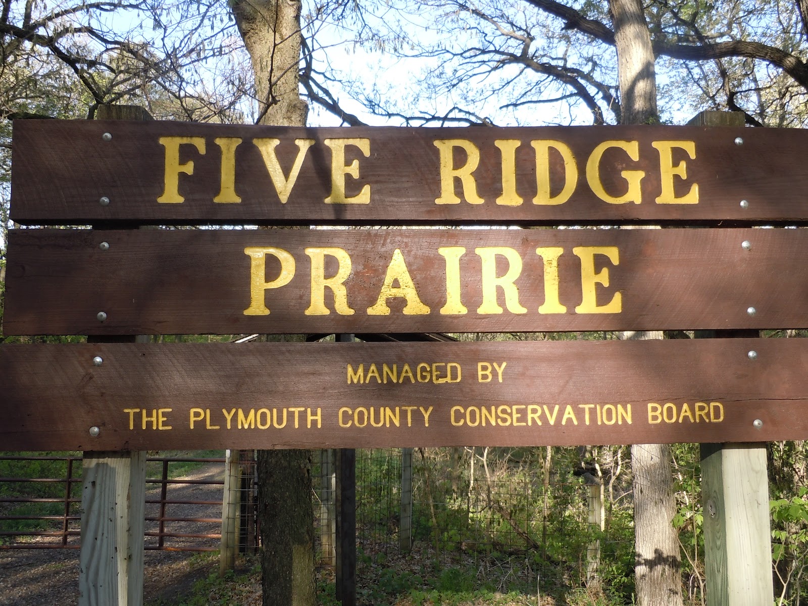 Virtual Prairie Field Trip Blog