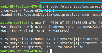 Dimensi TutupBotol: Check Postgresql Status in Linux