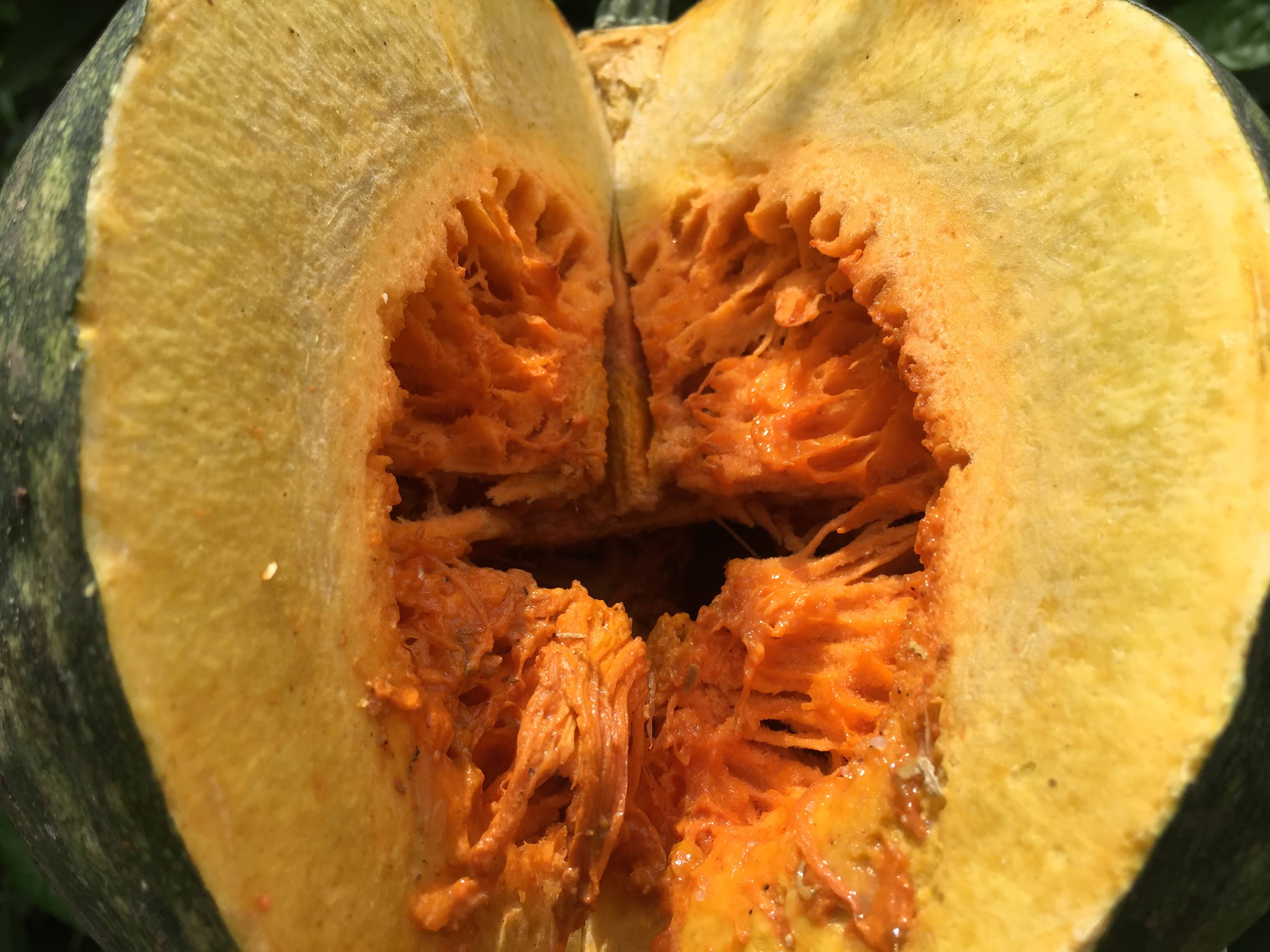 Jugo de auyama para producir tu propia insulina