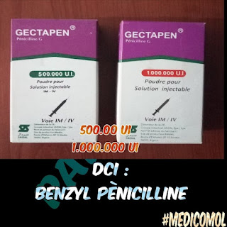 Les Antibiotiques _Pénicilline - Para Mol