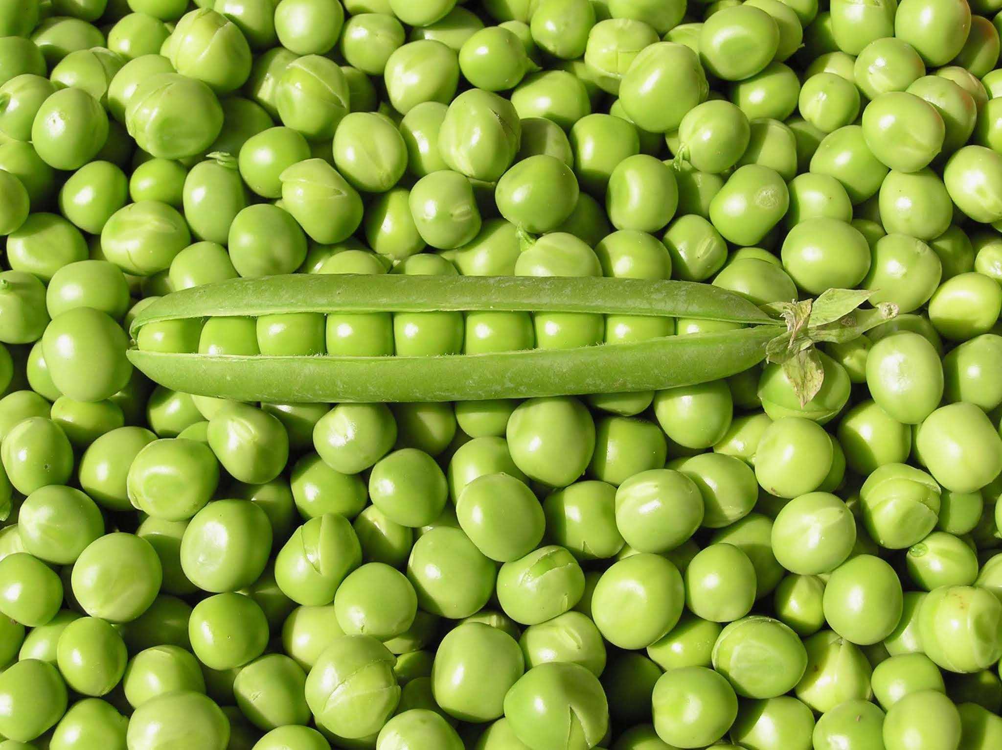 Stara vrtlarica: Grašak