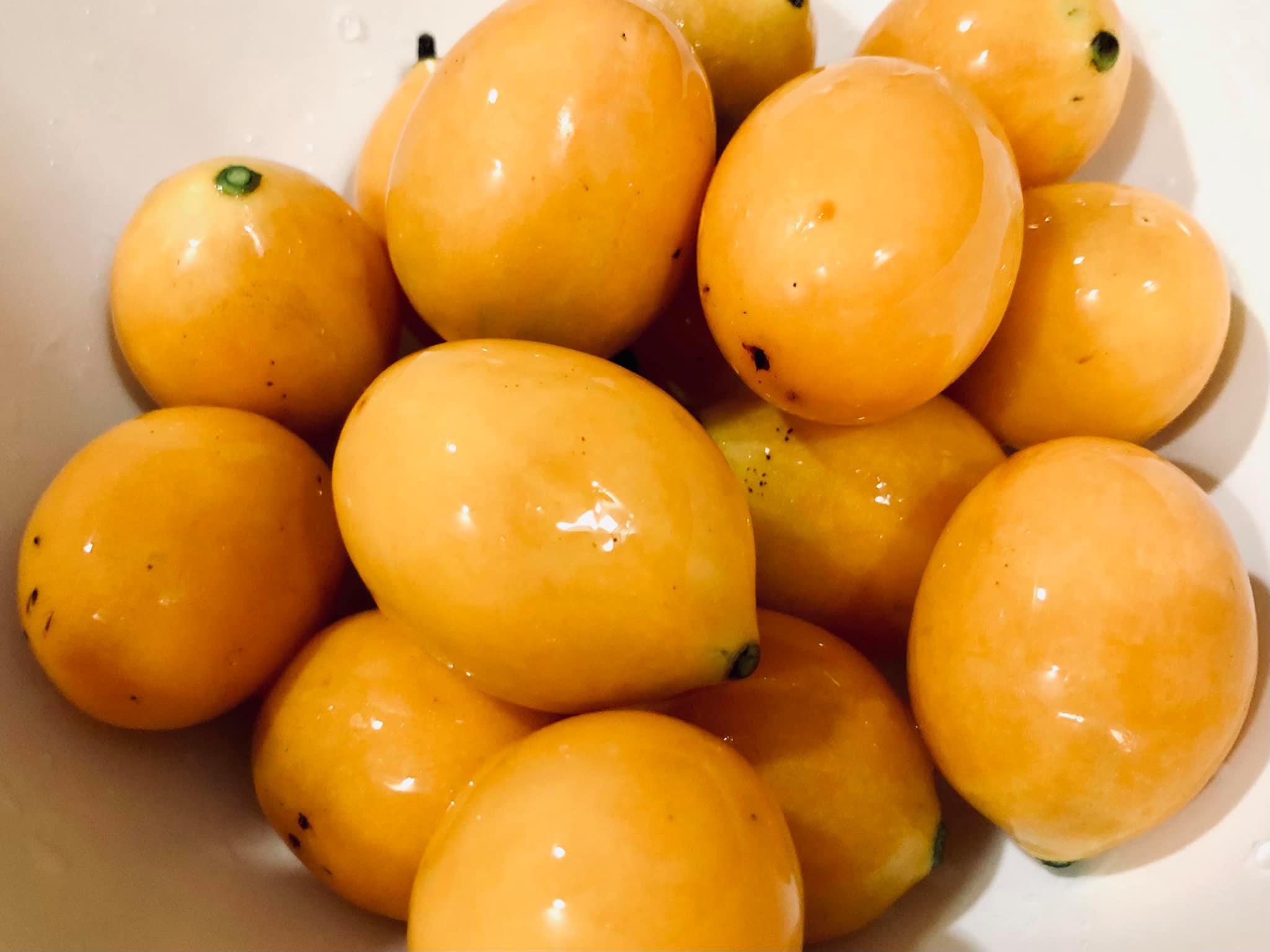 WORDLESS WEDNESDAY - BUAH KUNDANG