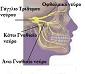 NEURO-TALKS / ΝΕΥΡΟ-ΔΙΑΛΟΓΟΙ: ΝΕΥΡΑΛΓΙΑ ΤΡΙΔΥΜΟΥ (TRIGGER ΖONE)