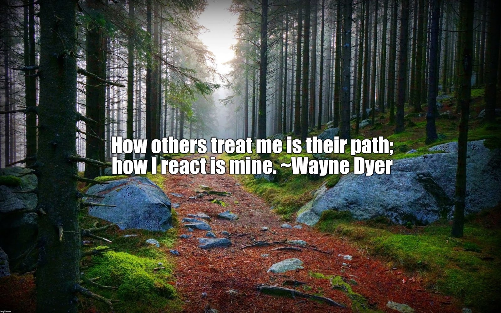 Their path, my path, quote, words to live by