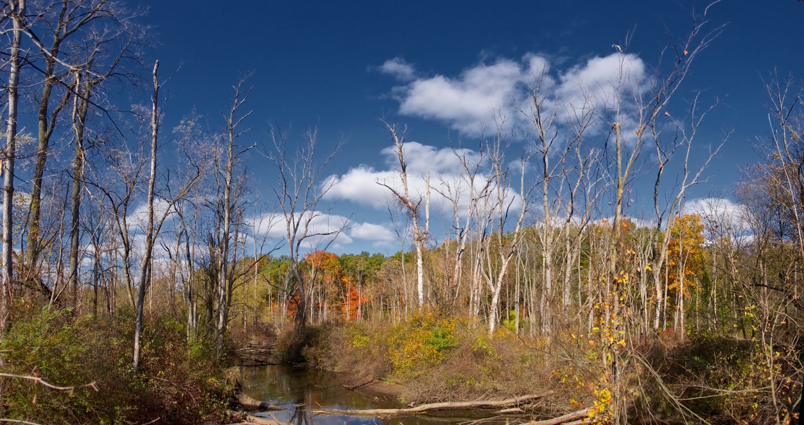 David Marvin Photography - Lansing, Michigan: Vermillion Creek & Burke ...