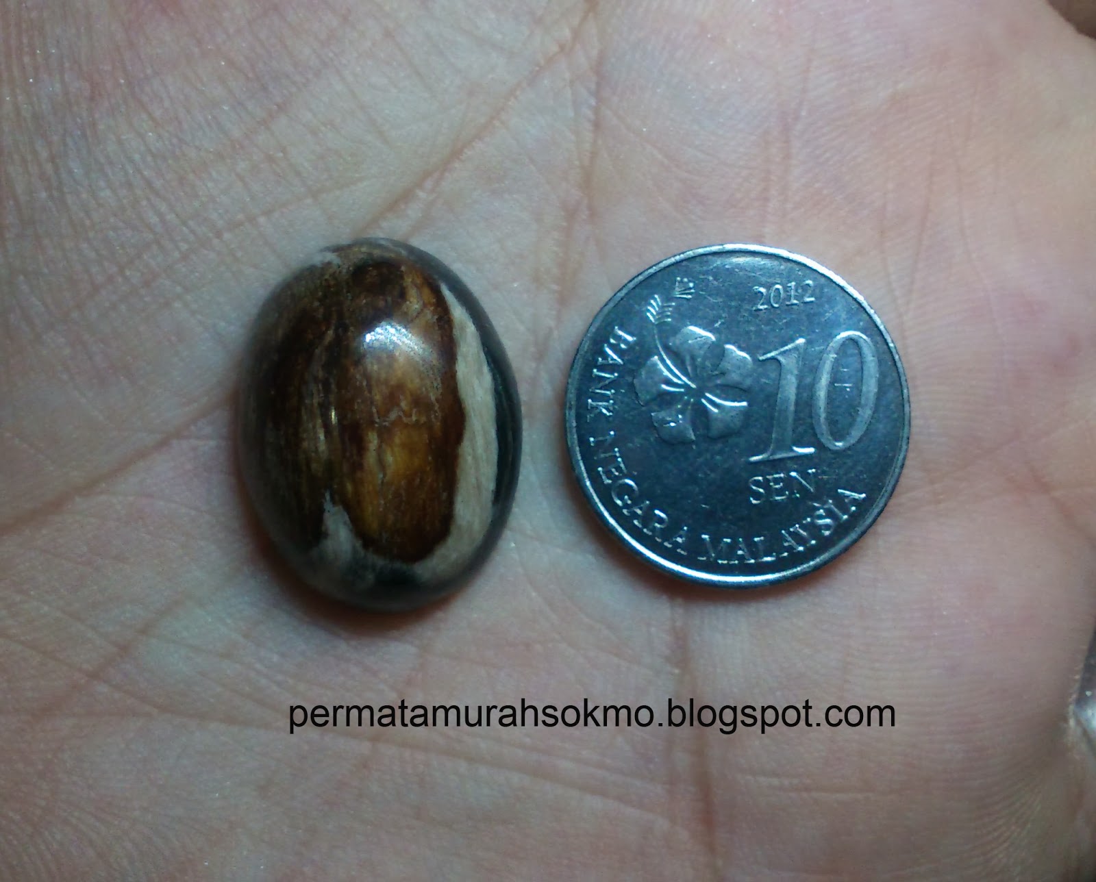 PERMATA MURAH SOKMO: PERMATA KAYU KELOR JADI BATU ASLI - RARE! : SOLD OUT