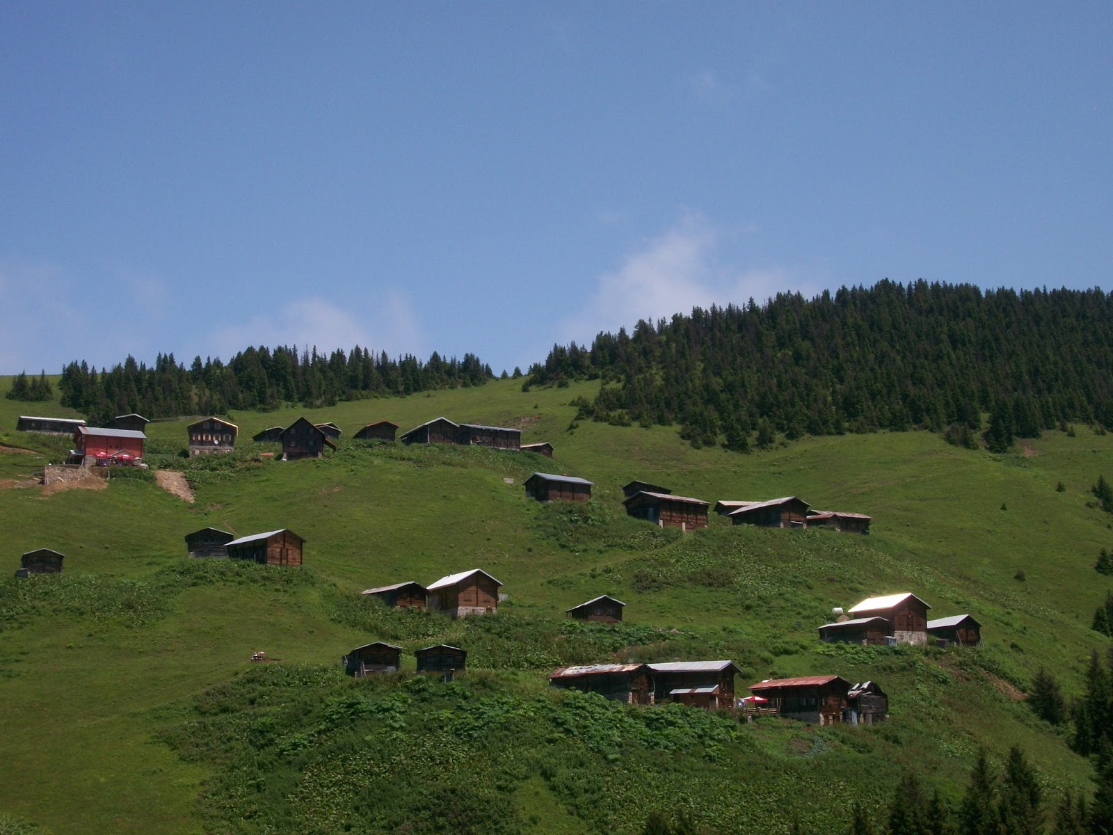 Kerim Yollarda: DOĞU KARADENİZ GEZİSİ - RİZE YAYLALARI (POKUT VE SAL )