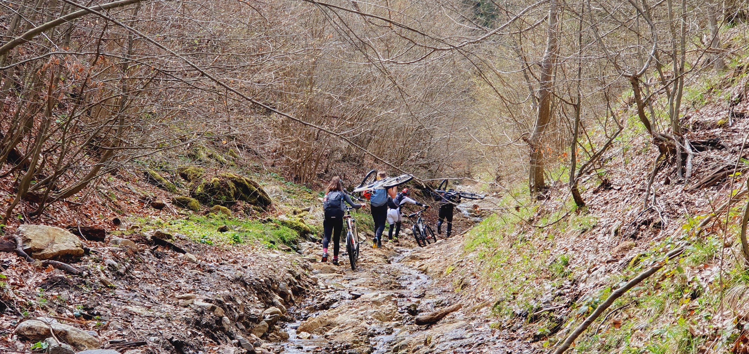Prin Parcul National Gradistea Muncelului - Ciclovina