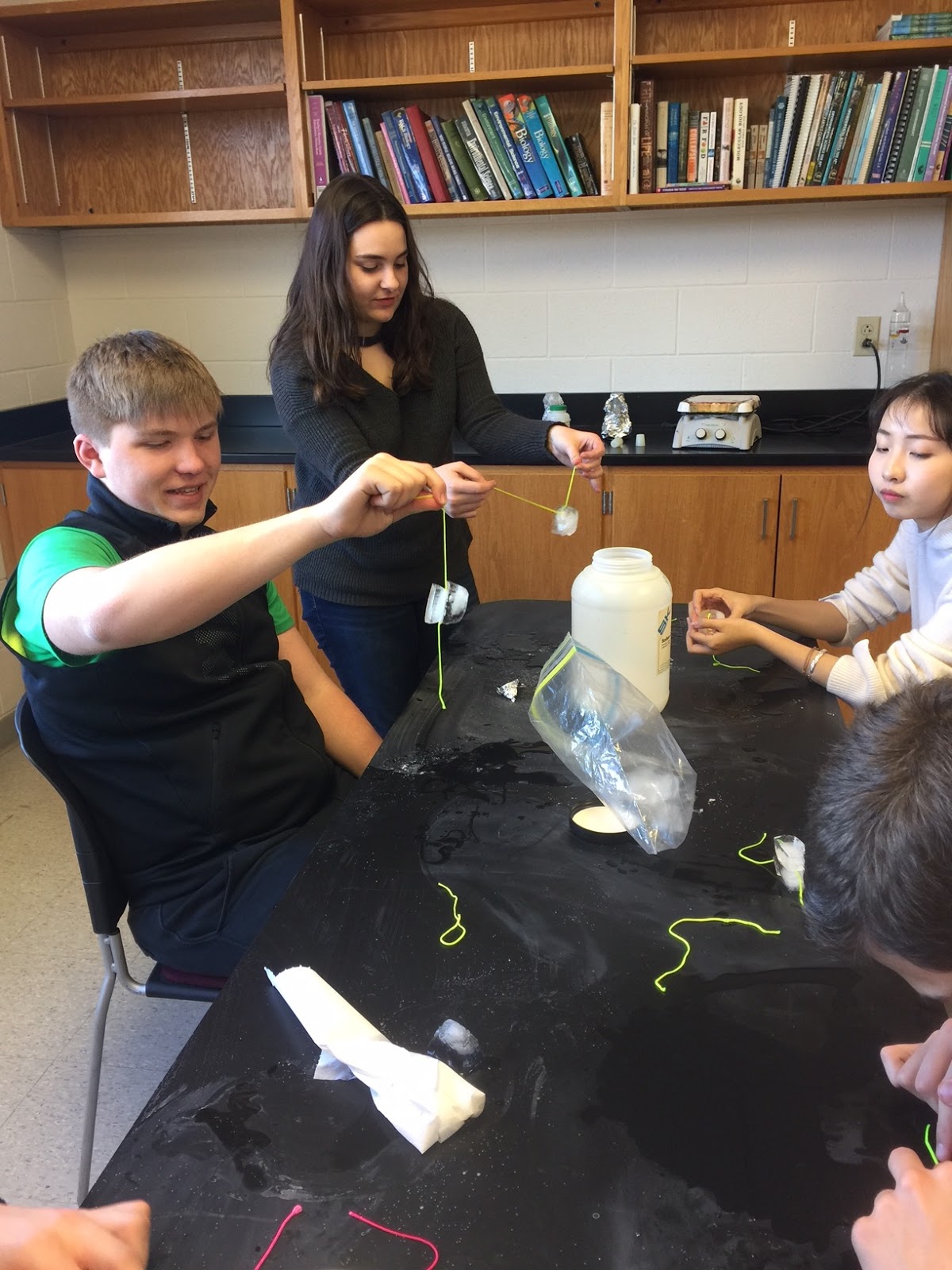 The Art of Teaching Science