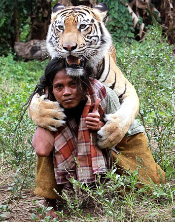 Free to choose: The man who has tiger Friend