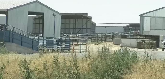 MEC&F Expert Engineers : OSHA fines Sunrise Organic Dairy in Idaho ...