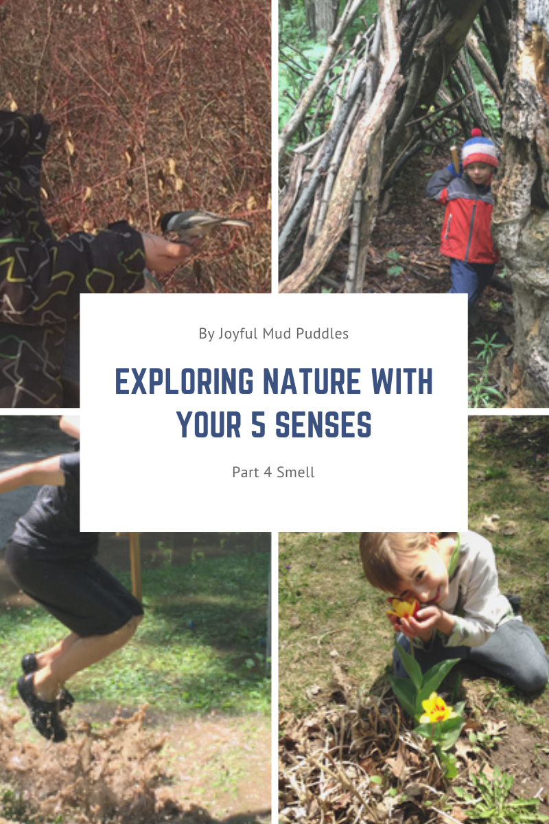 Exploring Nature with your 5 Senses (Part 4 Smell)