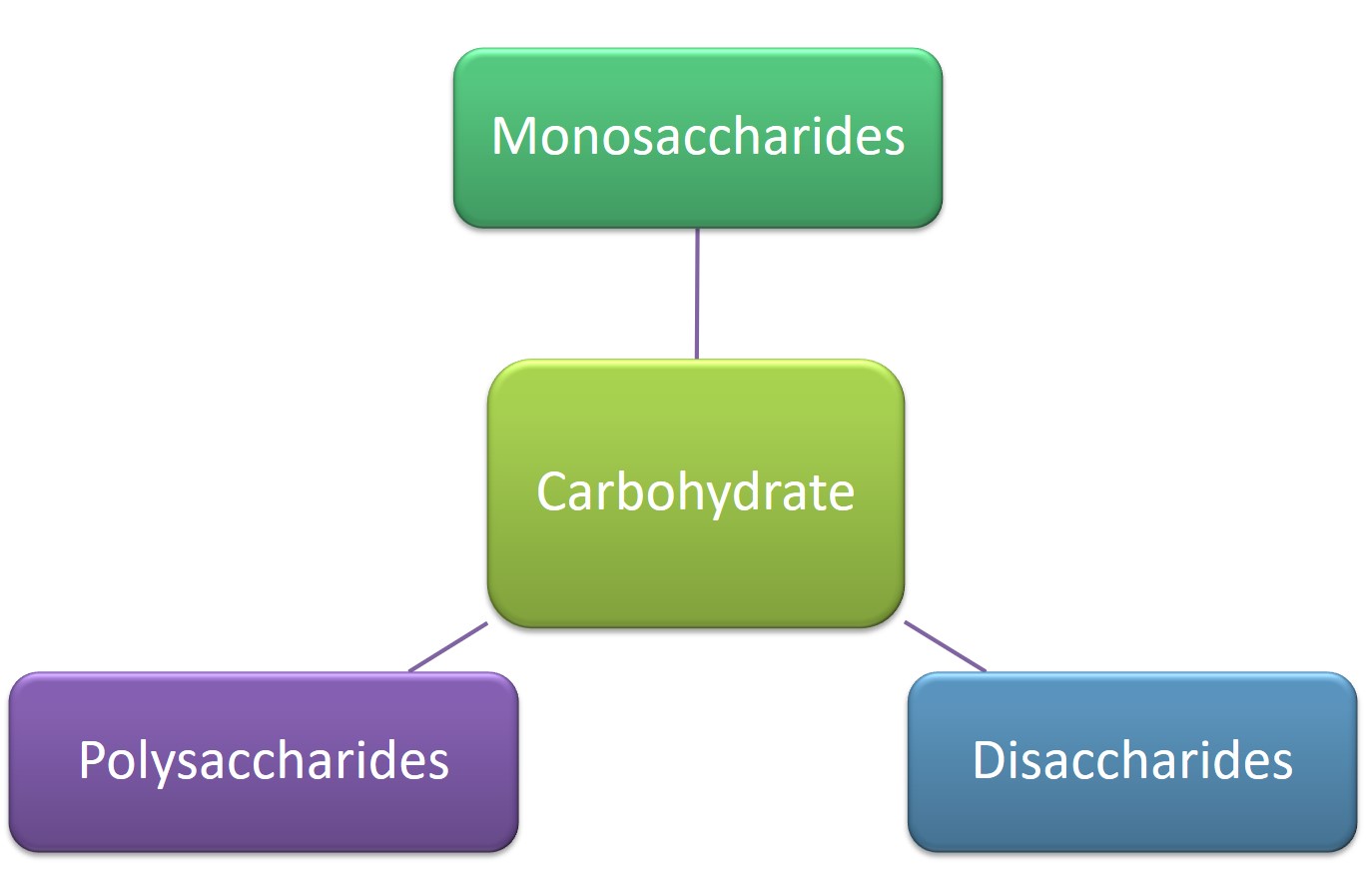 Student Study Notes: SPM Biology 4 Chemical Composition of the Cell ...