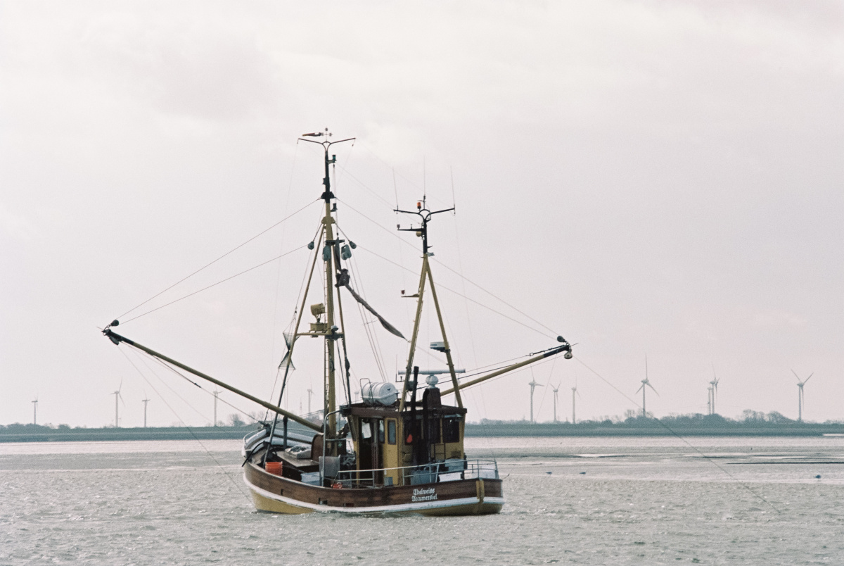 Fotografie auf Film: Seehundbänke vor Baltrum, Fischer in der Accumer ...