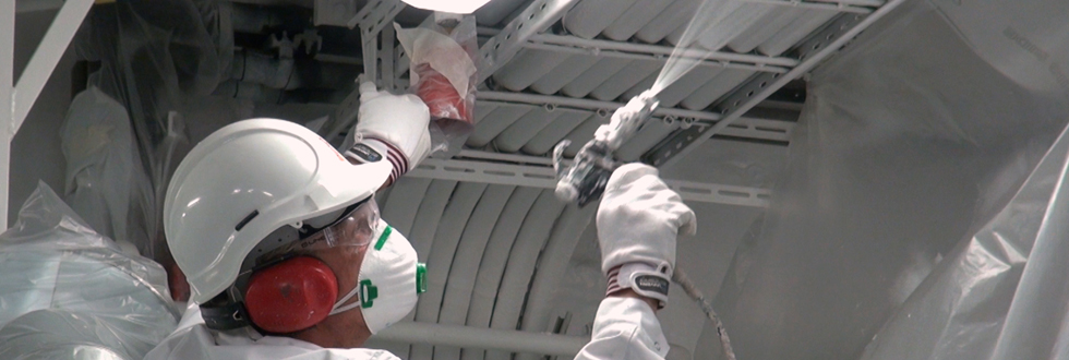 2013 ~ Fire Protection Coatings