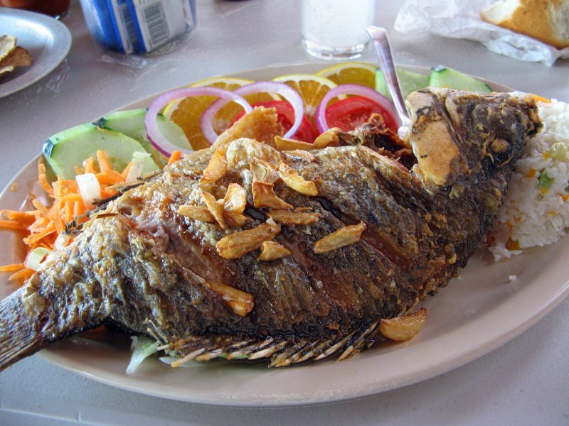 Conoce Tabasco: Pescado Olmeca