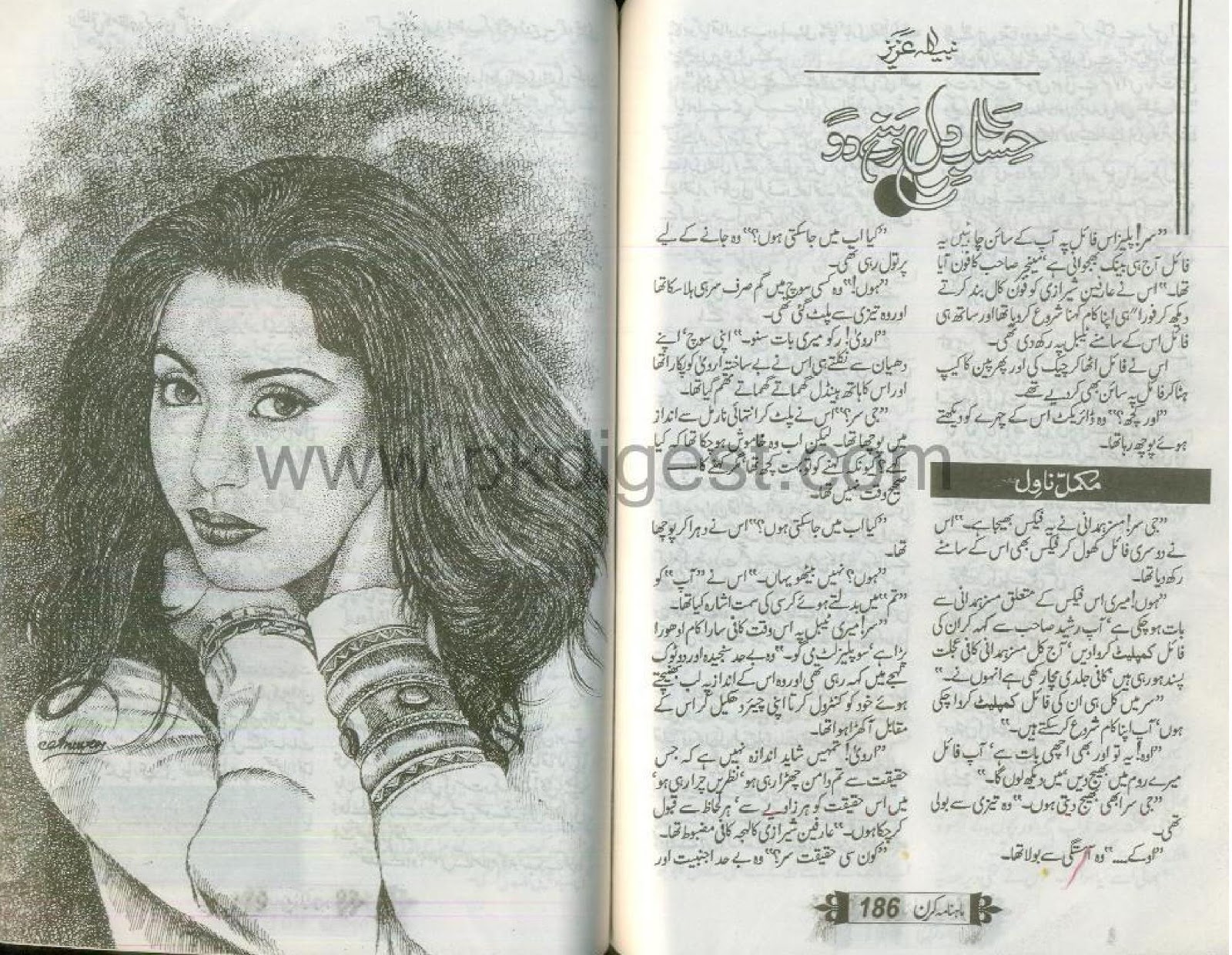 Hisab e Dil Rehny do novel by Nabeela Aziz
