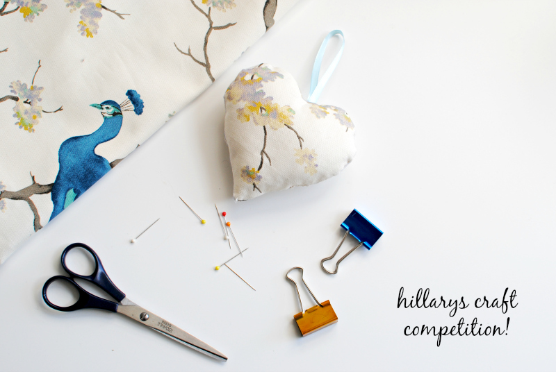 Win 1000 With Hillary s Craft Competition Caroline Burke Burkatron win-1000-with-hillary-s-craft-competition-caroline-burke-burkatron