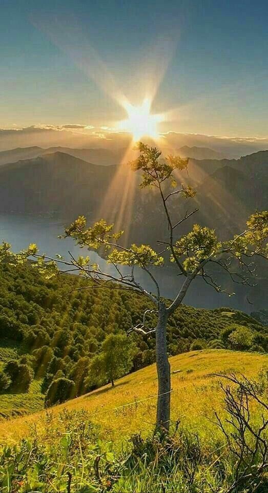 New Pics Hub: Top 60 Best Wallpaper For Your Display.