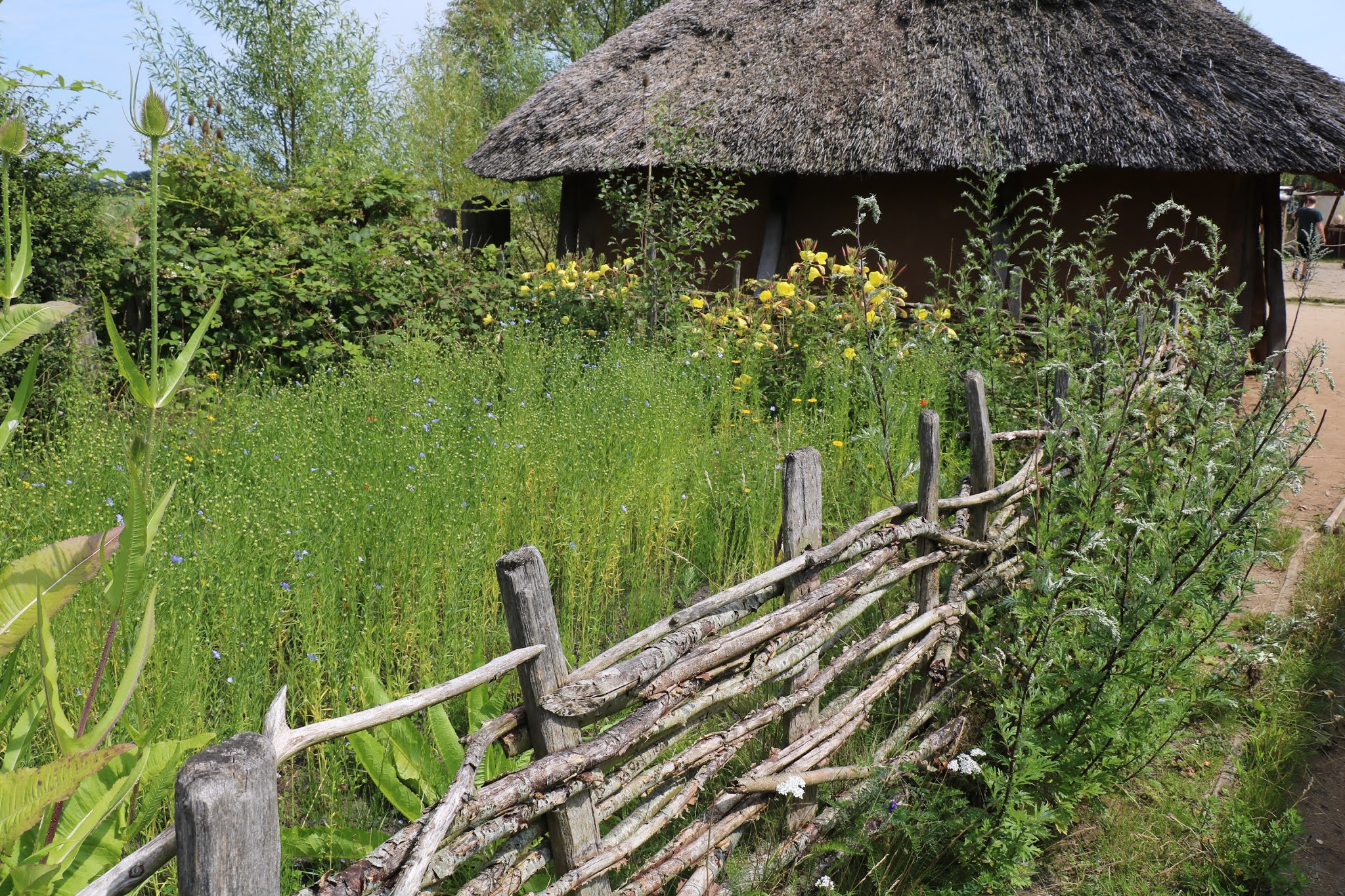 Von Glücksburg nach Lübeck 18.07.2020