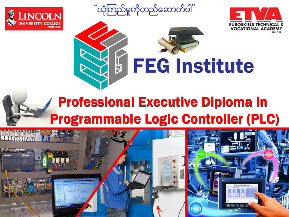 FEG Institute: Professional Executive Diploma Programme (PEDP)