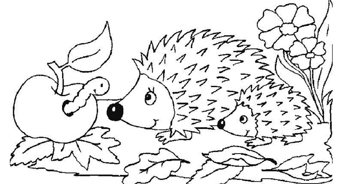 LECTURAS-PRIMARIA: CUENTO DEL ERIZO