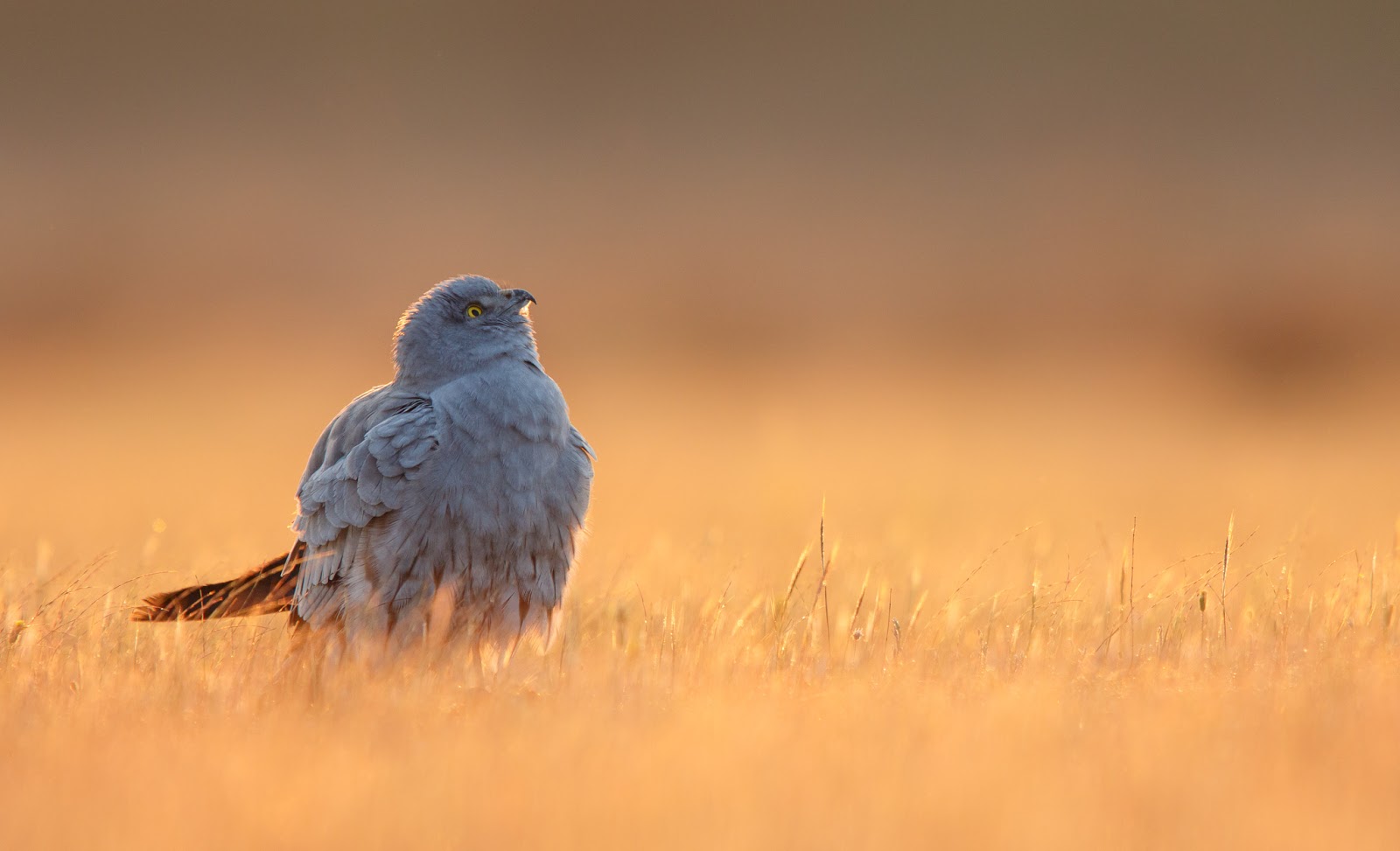 Nikos Fokas Photopraphy Blog