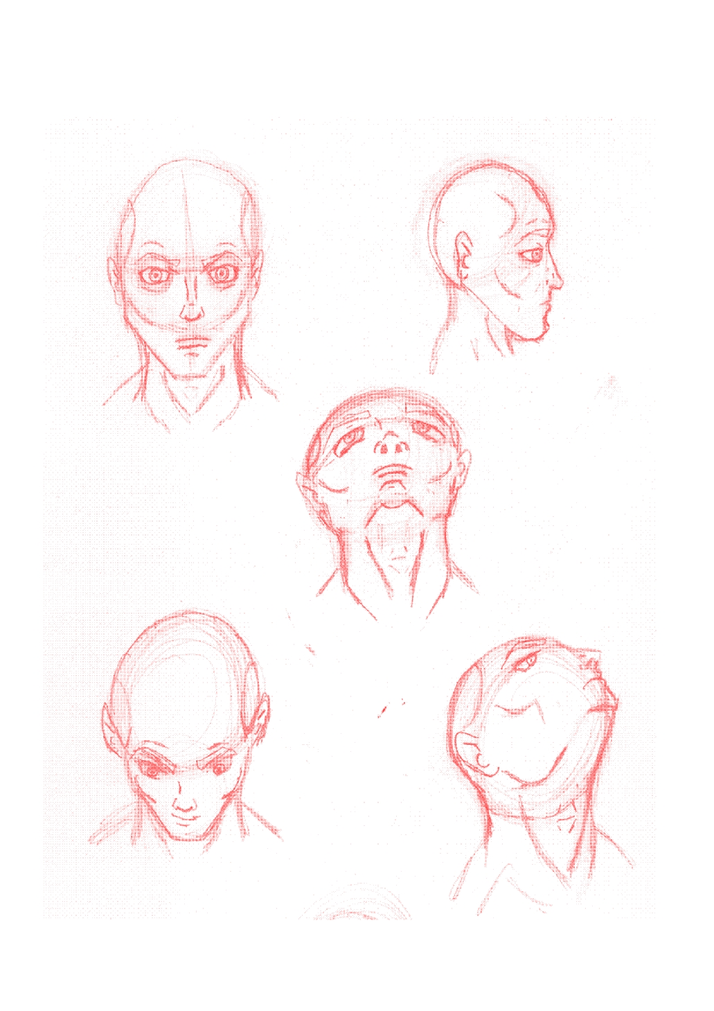 how to draw for comics: Study of different head positions