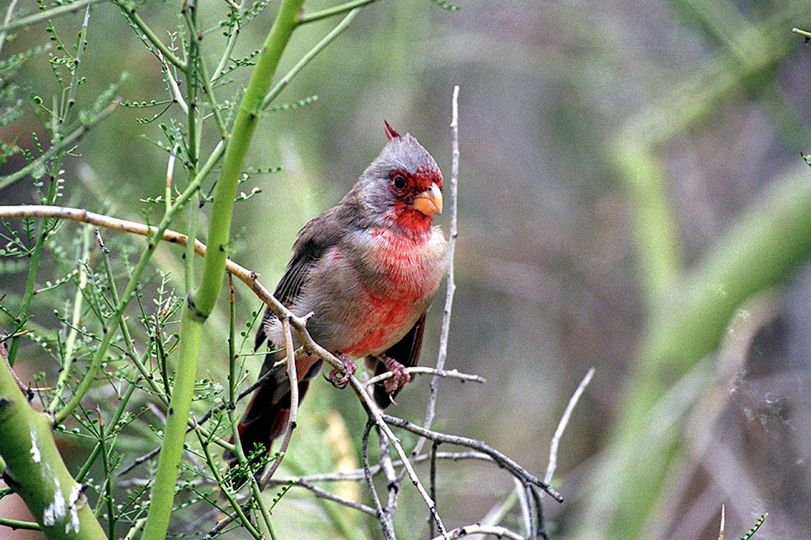 The Azure Gate: December 2013