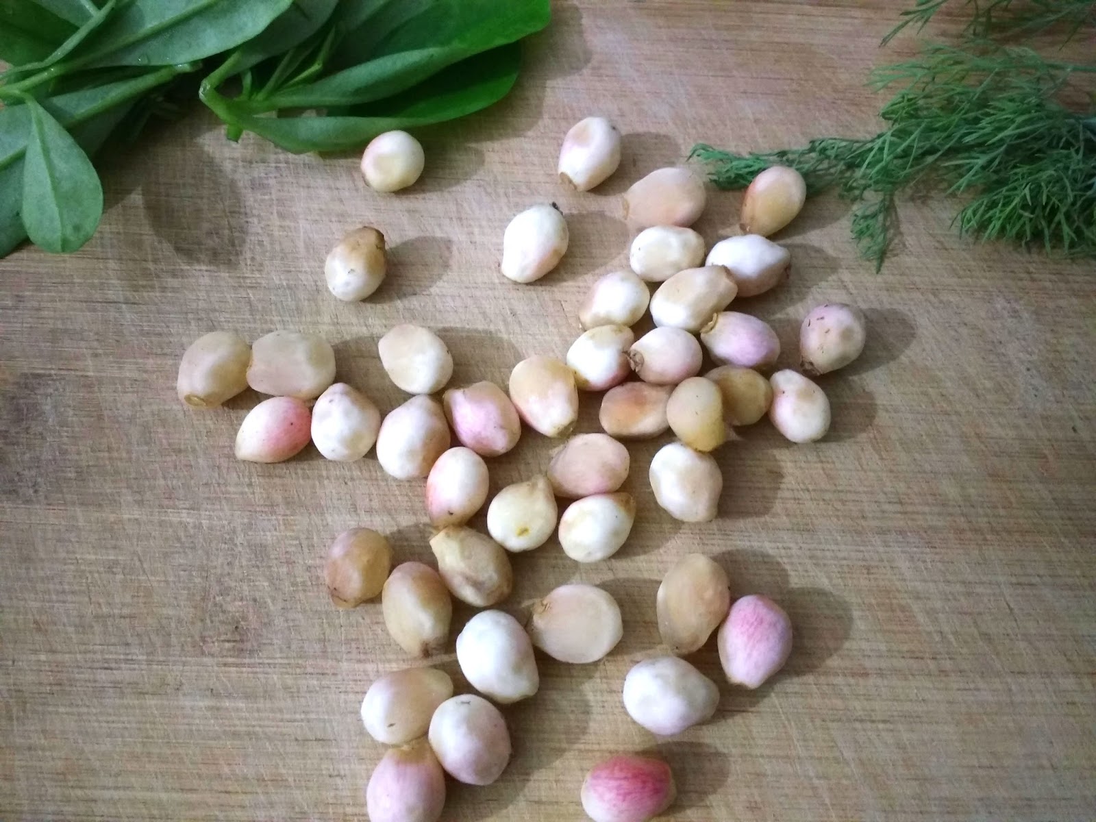 Gluten Free in Goa: Organic Chunna Idli's