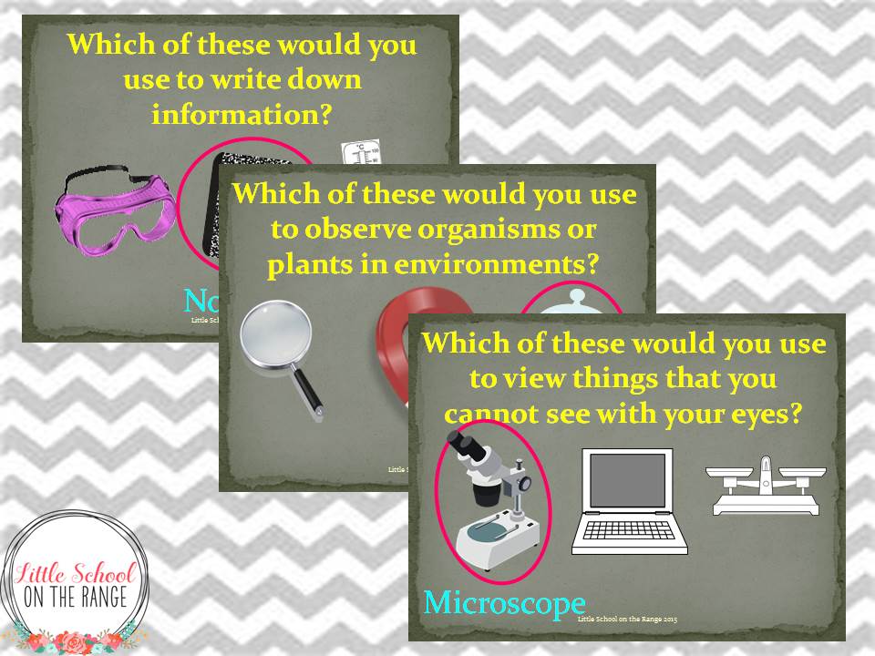 Little School on the Range: Science Tools and Lab Safety for Primary Grades
