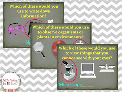 Little School on the Range: Science Tools and Lab Safety for Primary Grades