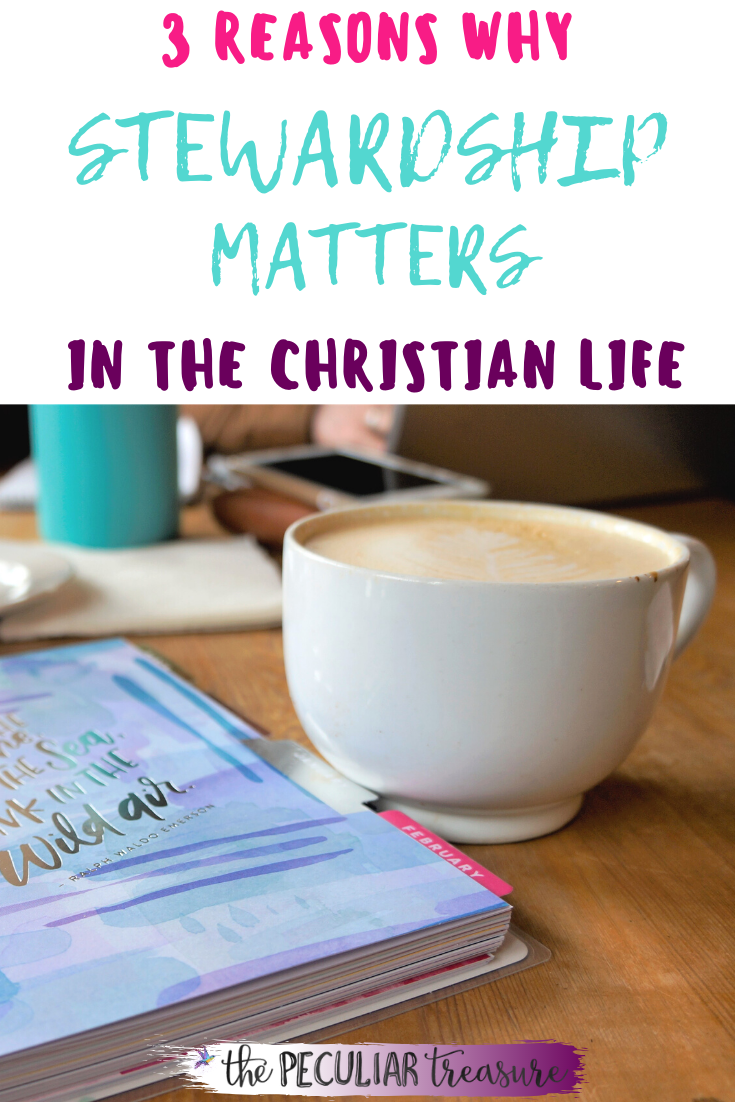 The Peculiar Treasure: Why Stewardship Matters for the Christian Life