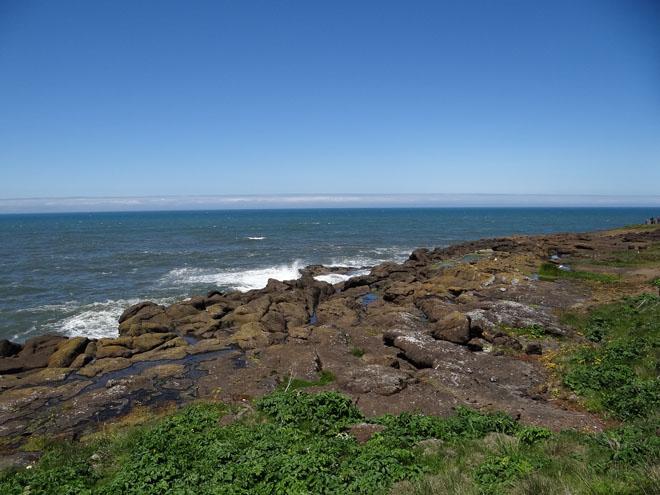 Reflections From the Fence: THE Trip, THE Encore' :: Boiler Bay State ...