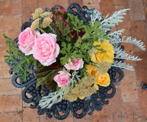 Elephant's Eye on False Bay