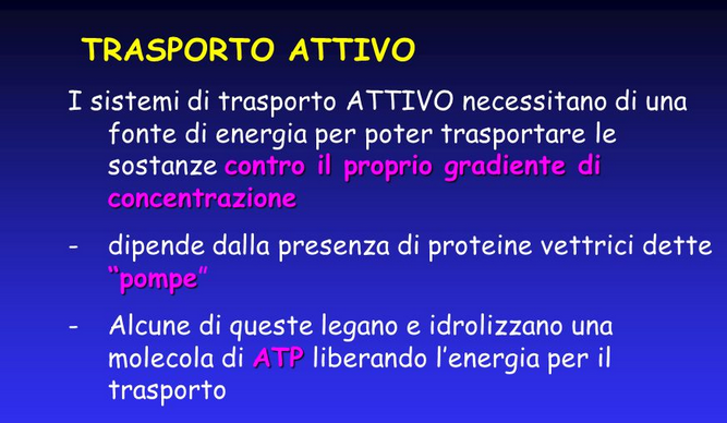 Chimico nato: Trasporto mediato da una proteina trasportatrice (carrier)