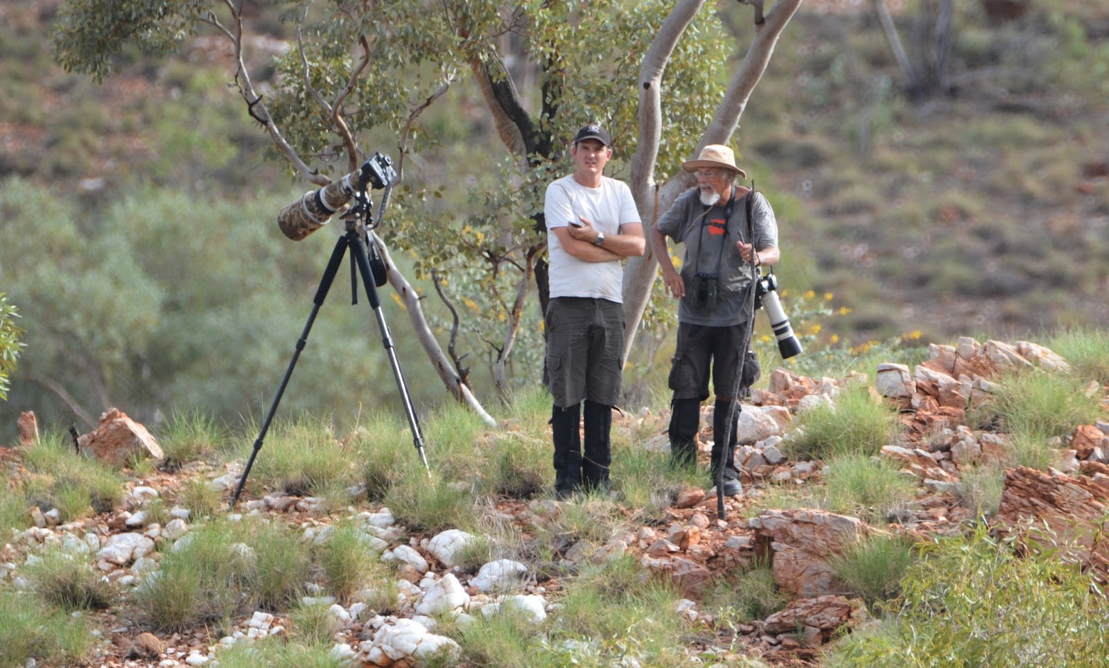 Arthur Stace: TWITCHING AND BIRD WATCHING