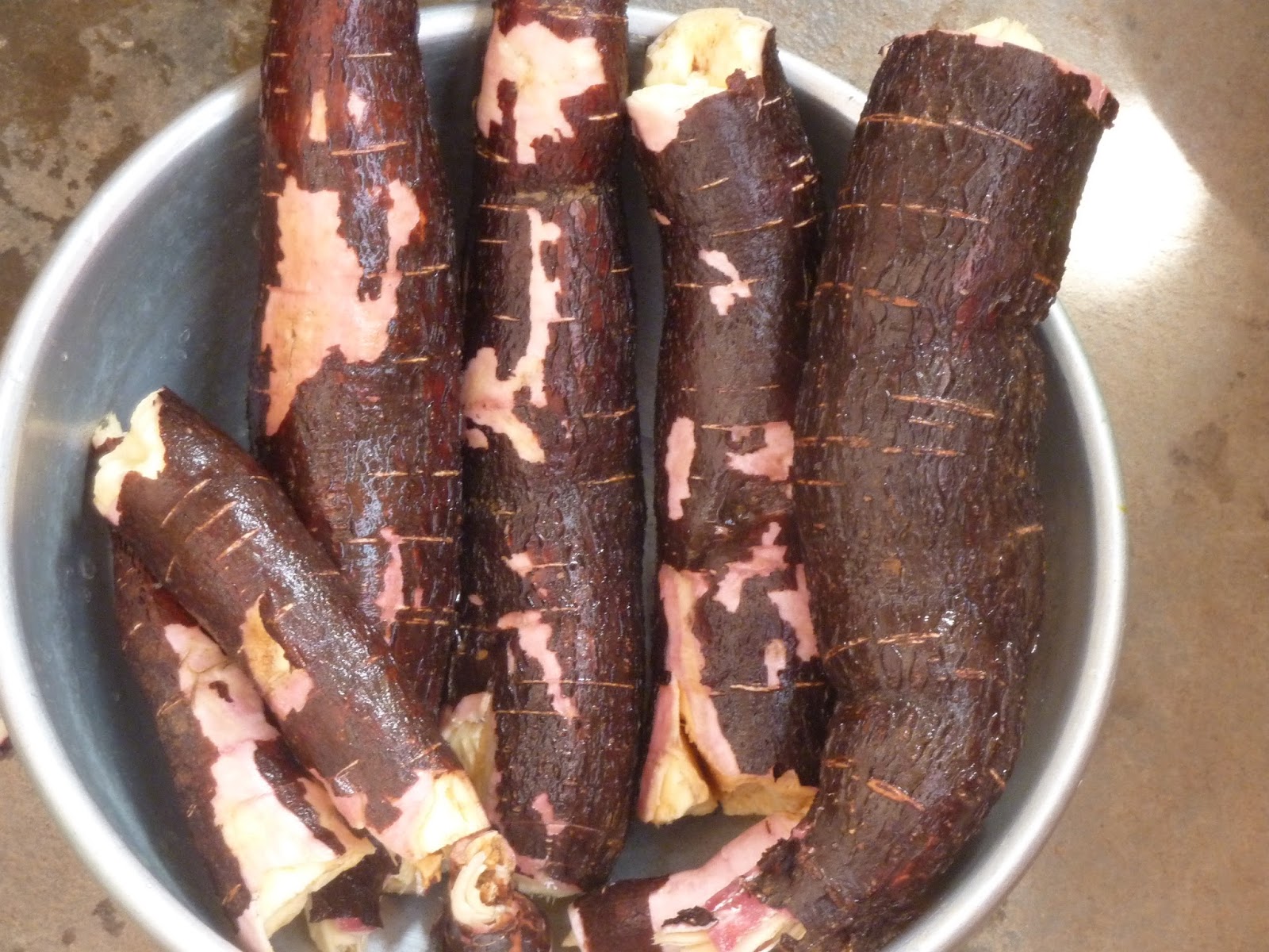 Our Edible Garden: Growing Tapioca