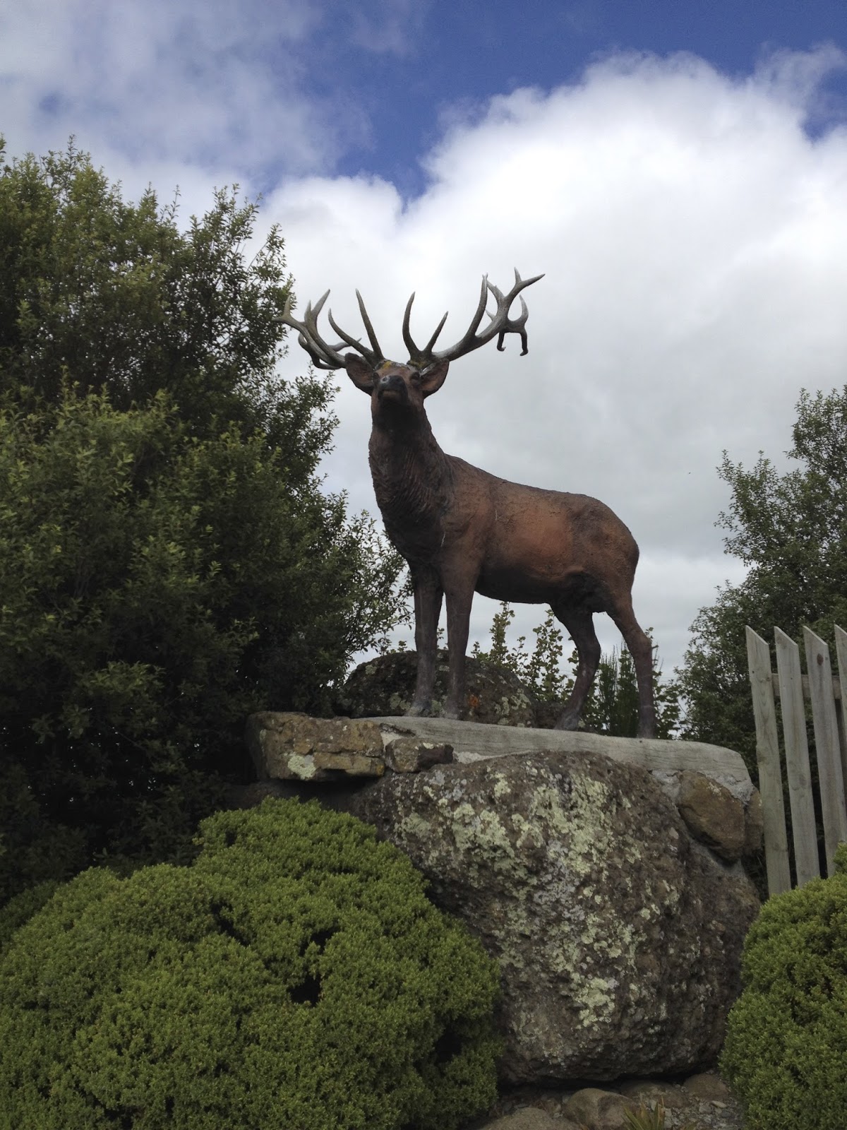 Frank Erceg Project: NZ Deer Cullers 50th Reunion